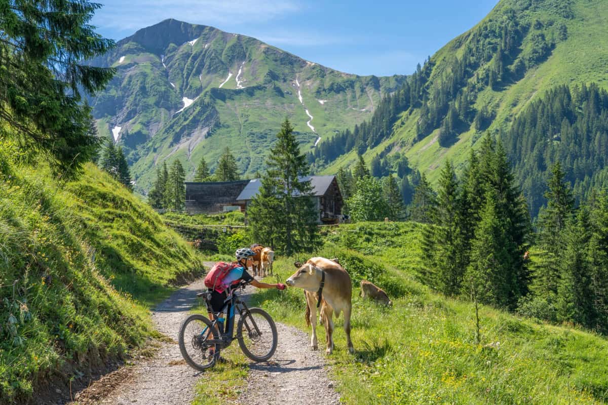 Cycling Holidays Austria - Discover Austria's beauty on our bike tours